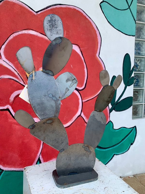 Medium 3D Cactus - Garden Deva