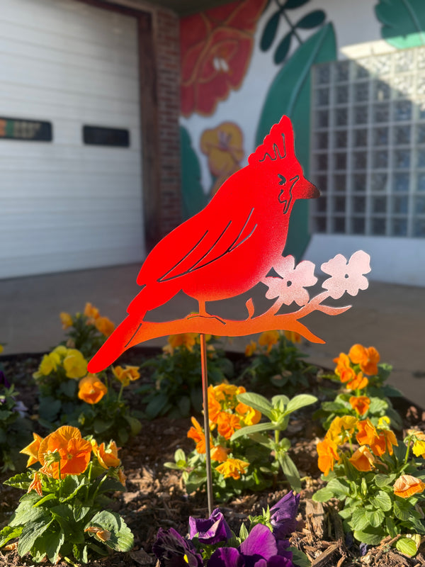 Cardinal Pole - Garden Deva